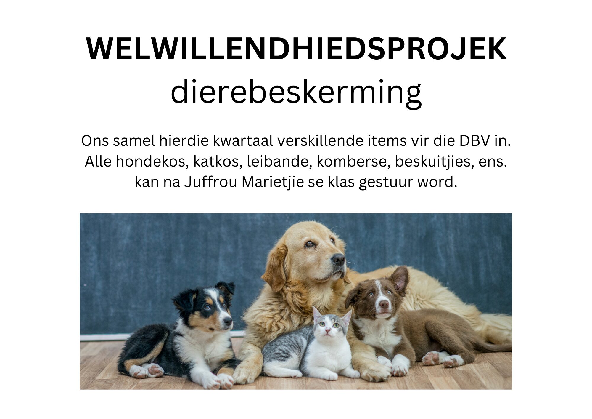 Welwillendheidsprojek: Dierebeskerming - Laerskool Jan Van Riebeeck